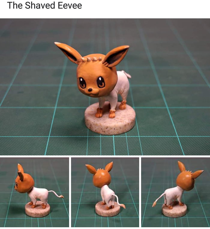 Eevee without a fur, pokemon - 9GAG