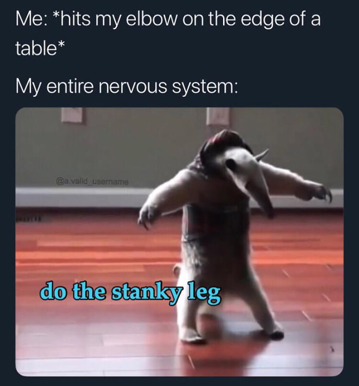 Do The Stanky Leg 9GAG