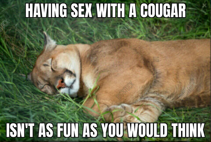 At least I know I like it rough - 9GAG