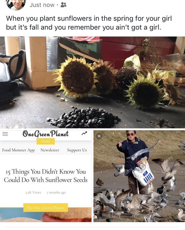 What the f**k do I do with all these seeds? - 9GAG