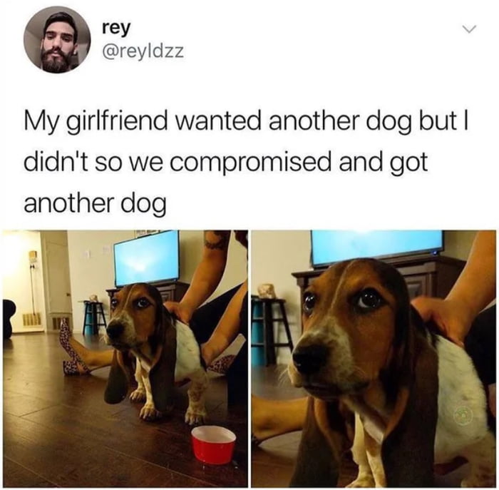 Sounds like a pretty good compromise - 9GAG