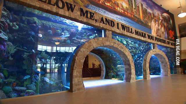 Largest Private Aquarium in a Church!! - 9GAG