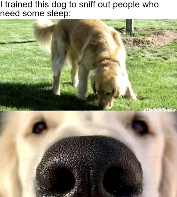 Go get some rest - 9GAG