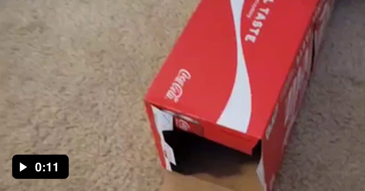 She likes coke boxes. - 9GAG