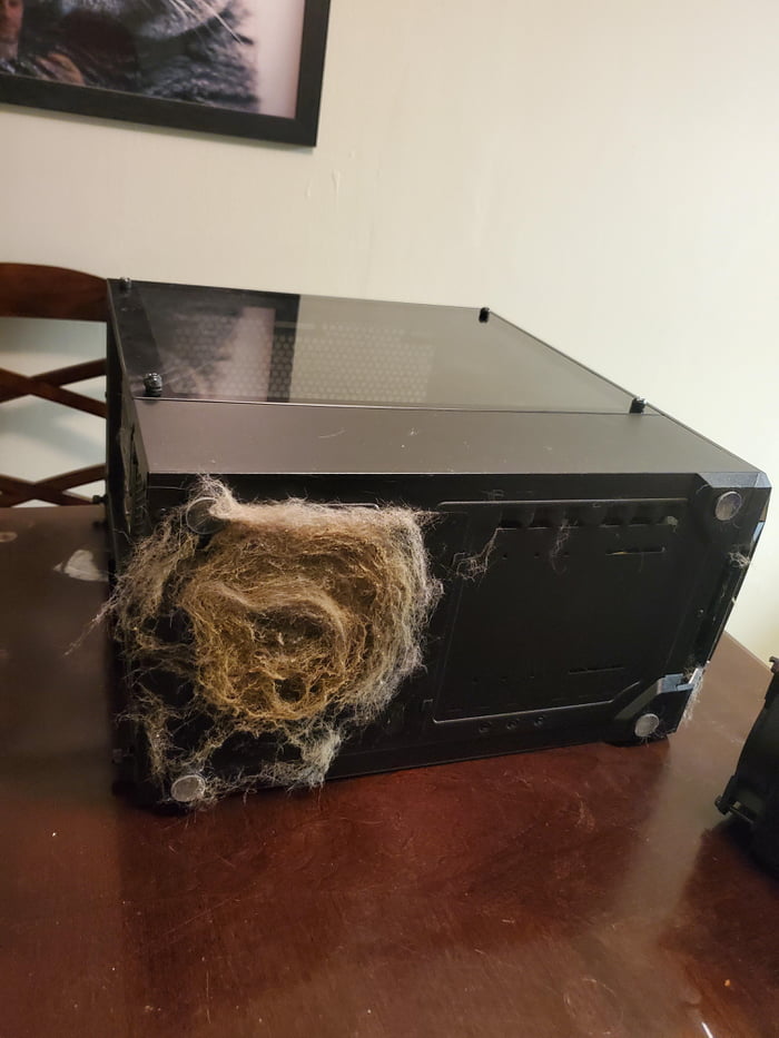 Just a reminder to check under your PC for possible lost cats - 9GAG