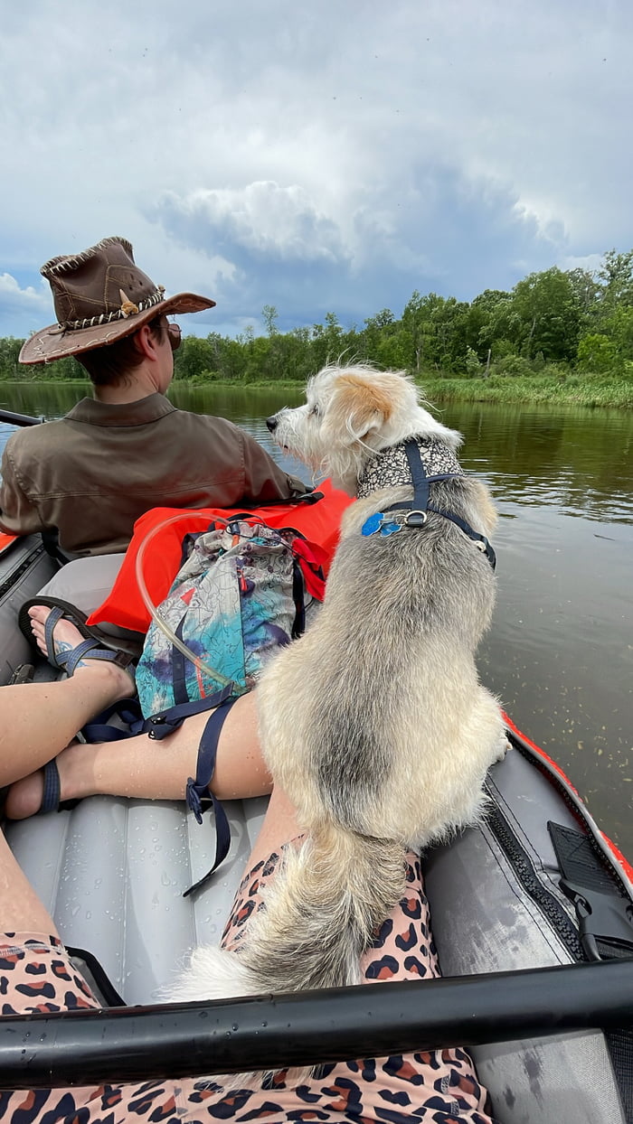 Skipper Pupper - 9GAG