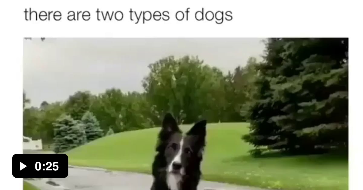 There are two types of dogs - 9GAG