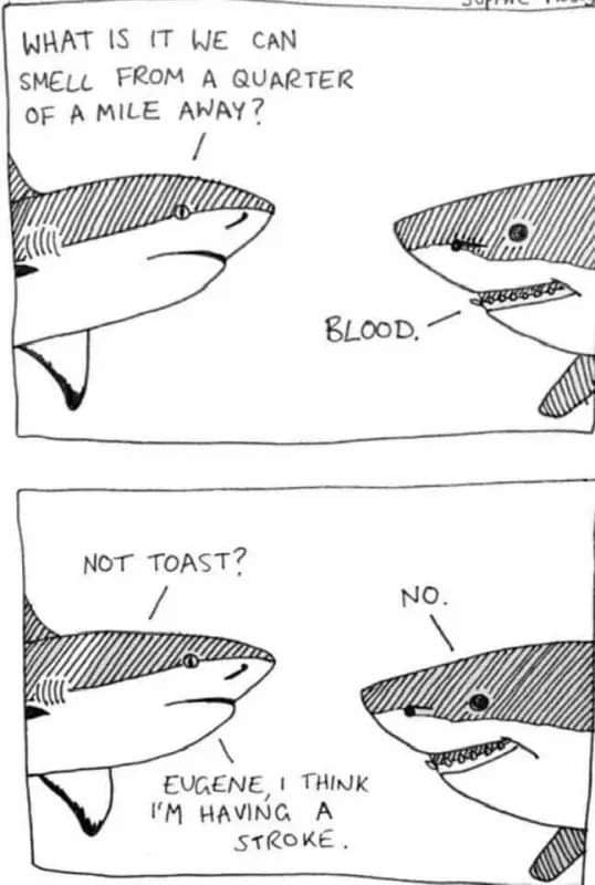 Call an ambulante, Eugene! - 9GAG