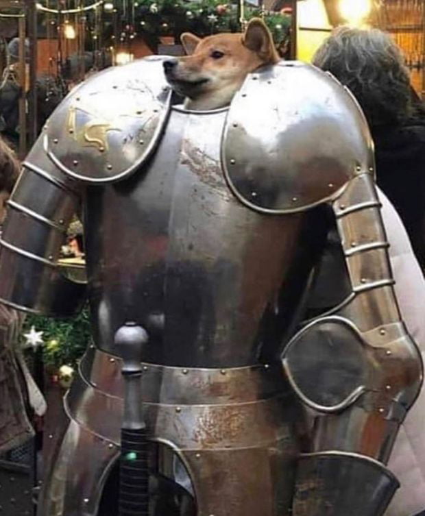Knights who say bonk - 9GAG