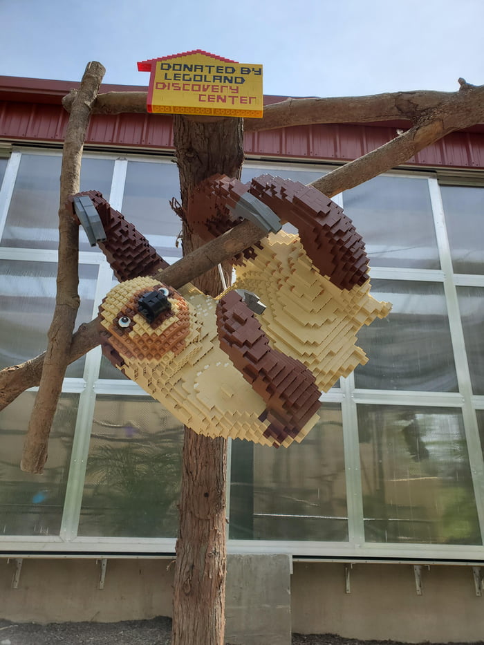 Lego sloth sighted at the Elmwood Park Zoo in Norristown, PA - 9GAG