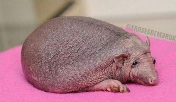 When you just shaved... - 9GAG