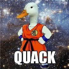 Ahh the space duck. What a majestic creature. - 9GAG