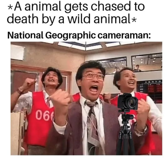 always-such-a-wholesome-moment-9gag
