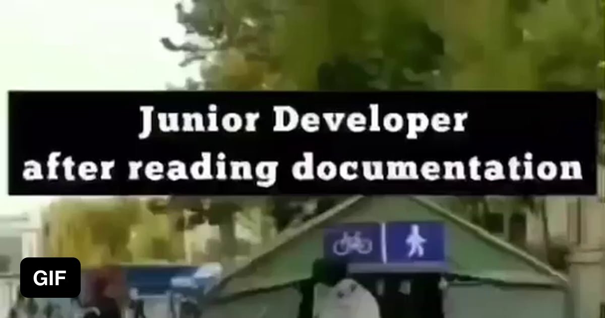 Junior Developer After Reading Documentations - 9GAG