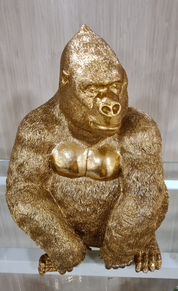 Upvote golden harambe for 5 years of good luck - 9GAG