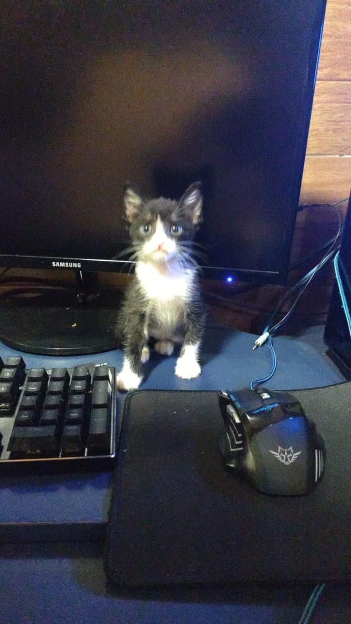 Rate my setup - 9GAG