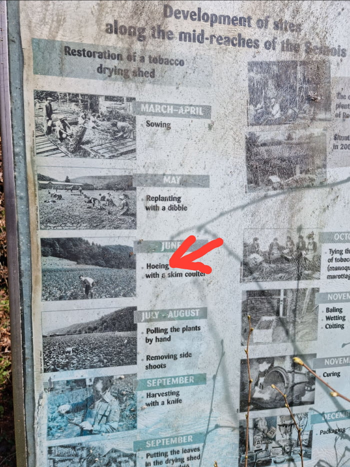 I guess after all you actually can get anything done, hoeing like that - 9GAG