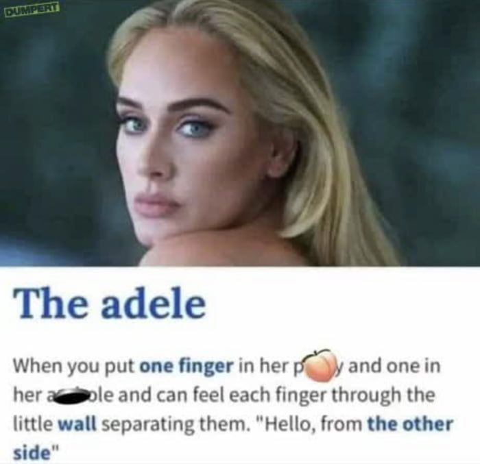 The Adele - 9GAG