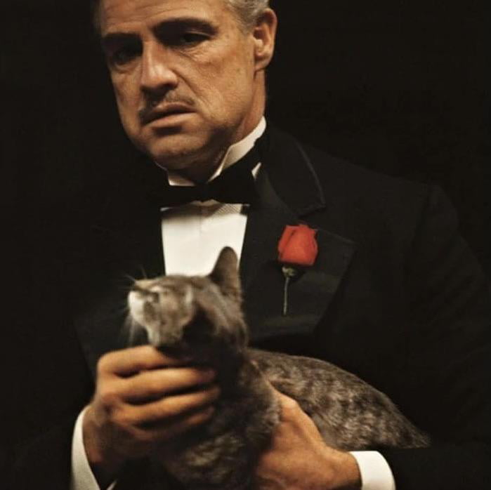 The Godfather's famous cat-in-lap scene was entirely unscripted. A ...
