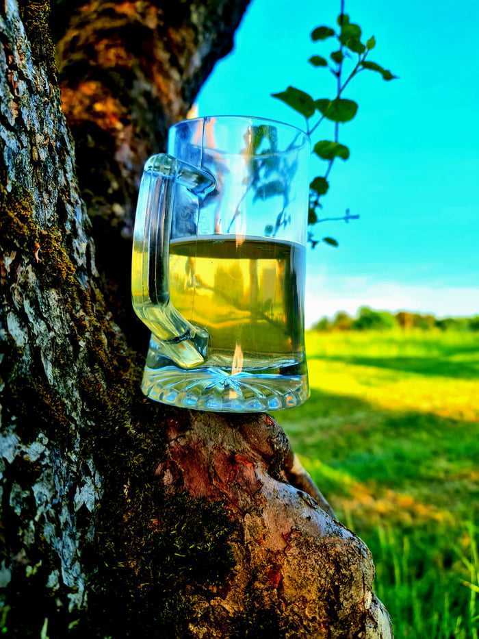 Das Ist Das Wahre Flüssige Gold Most Prost Und Schönes Wochenende 9gag
