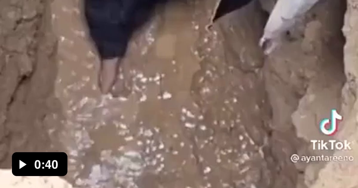People rescuing a dog that fell into a pit as flood water rages on in ...