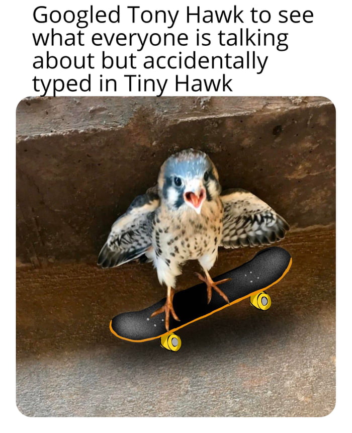 Tiny Hawk pro skater - 9GAG