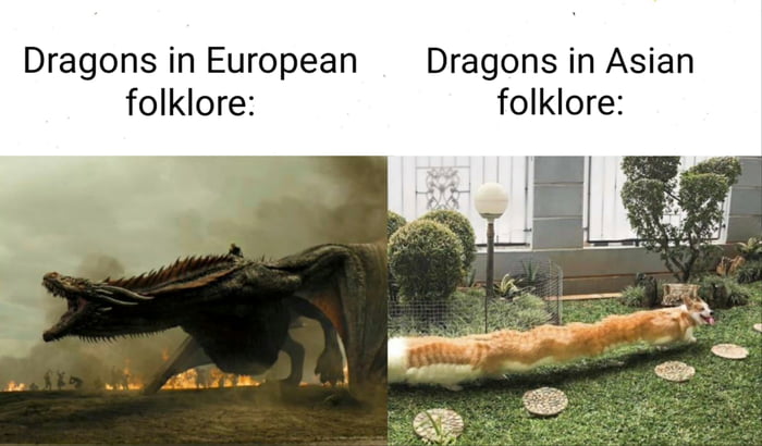 Majestic long doggo - 9GAG