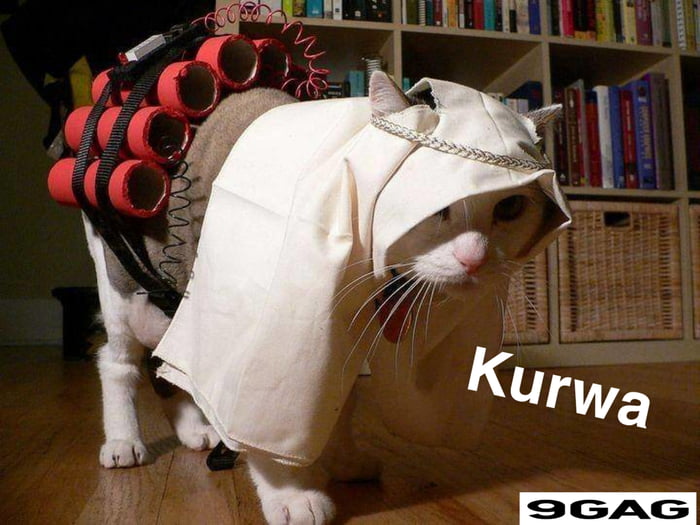 Polish Sciwntists have classified Domestic Cats as Invasive Alien ...