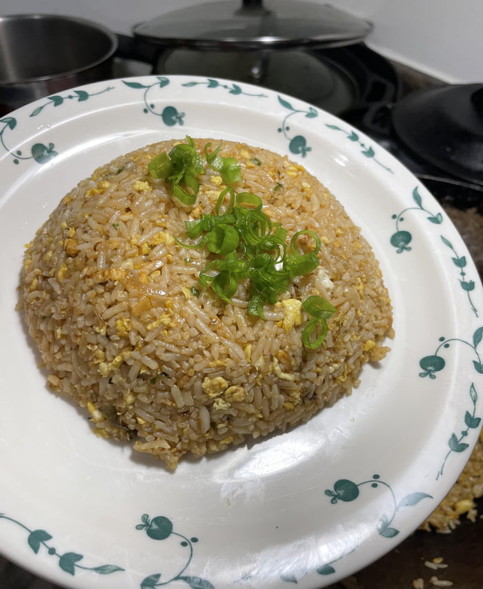 Scallions and Egg Fried Rice - 9GAG