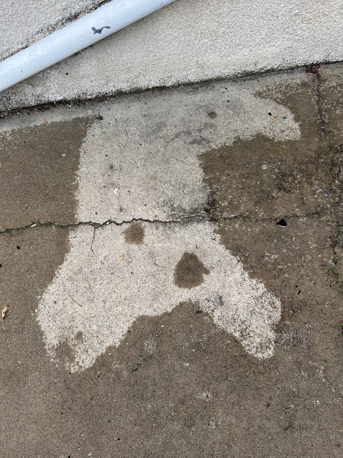 A nuclear shadow in Hiroshima, 1945, colourised - 9GAG