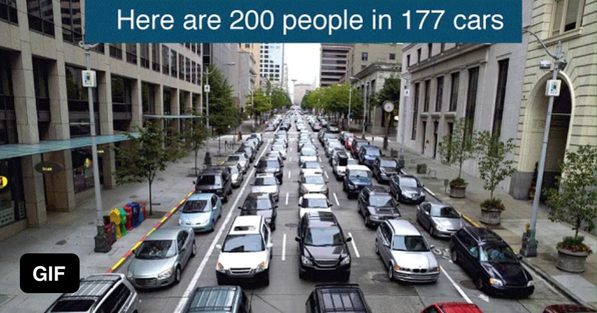 Visual Representation of The Space 200 People Take Up in Various Forms ...