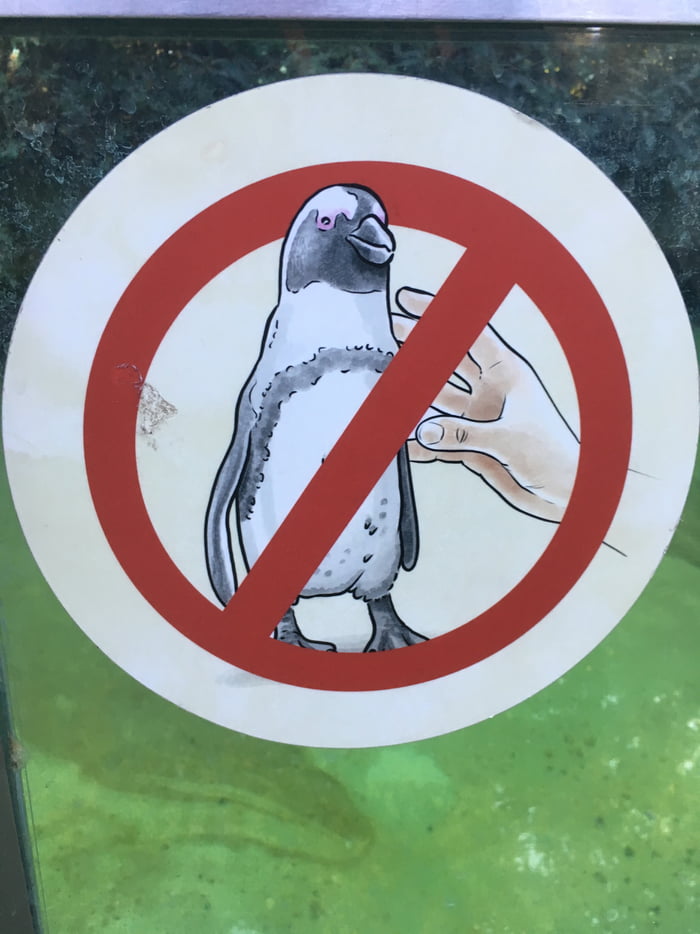 “Please do not grab the penguin” - 9GAG