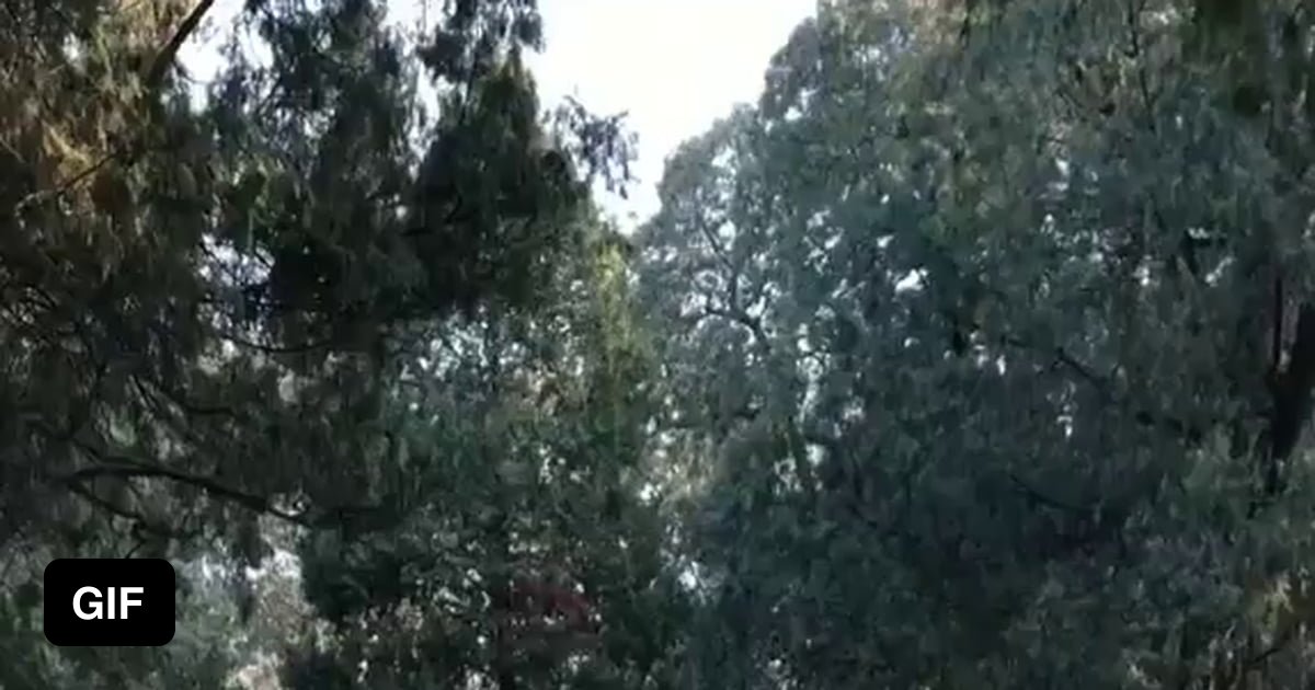 Nice throw man! - 9GAG