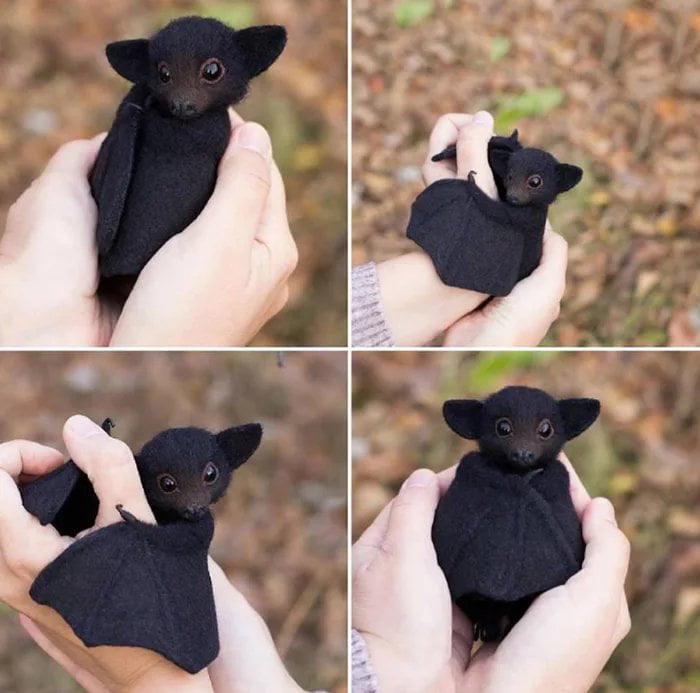 Baby bat. - 9GAG