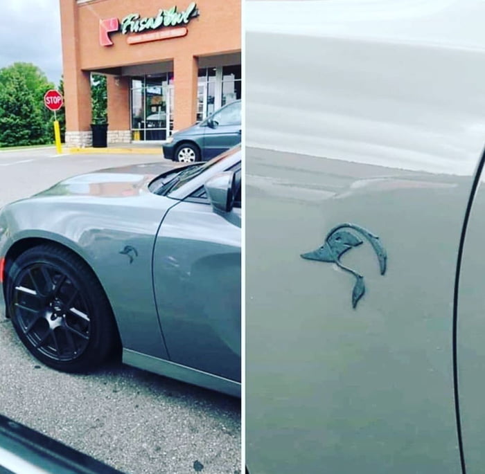 The new Dodge Charger Hellduck - 9GAG