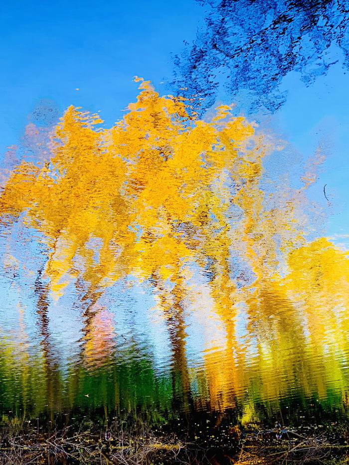 Impressionist reflection on pond - 9GAG