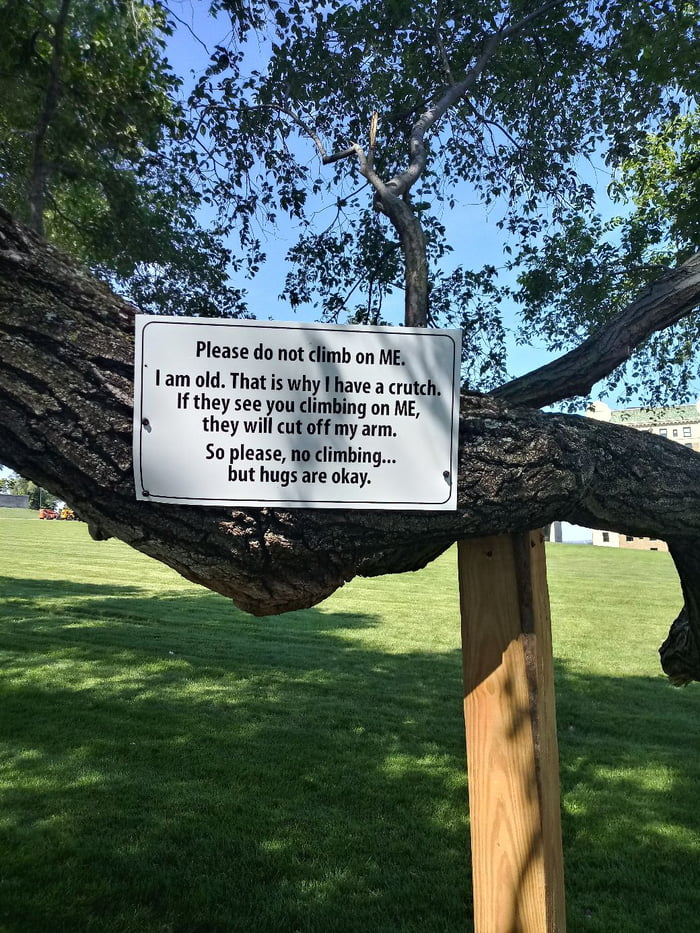 Sometimes, it's okay to be a tree hugger. - 9GAG