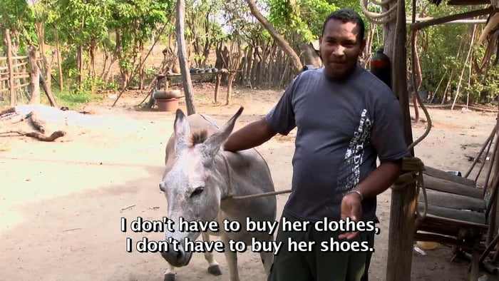 Why Colombian men have sexual intercourse with donkeys - 9GAG