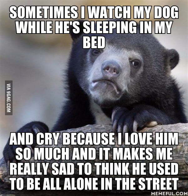 I rescued my dog from the street about a year ago. He is my first dog ...