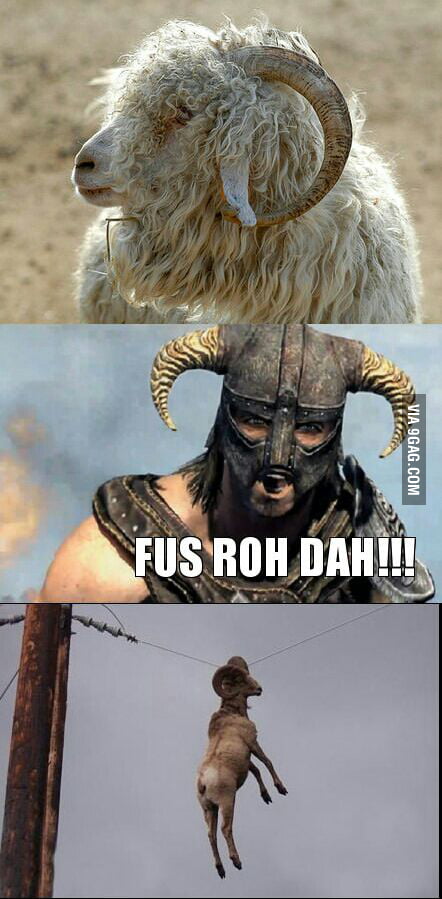 Dammit Dovahkiin ! - 9GAG
