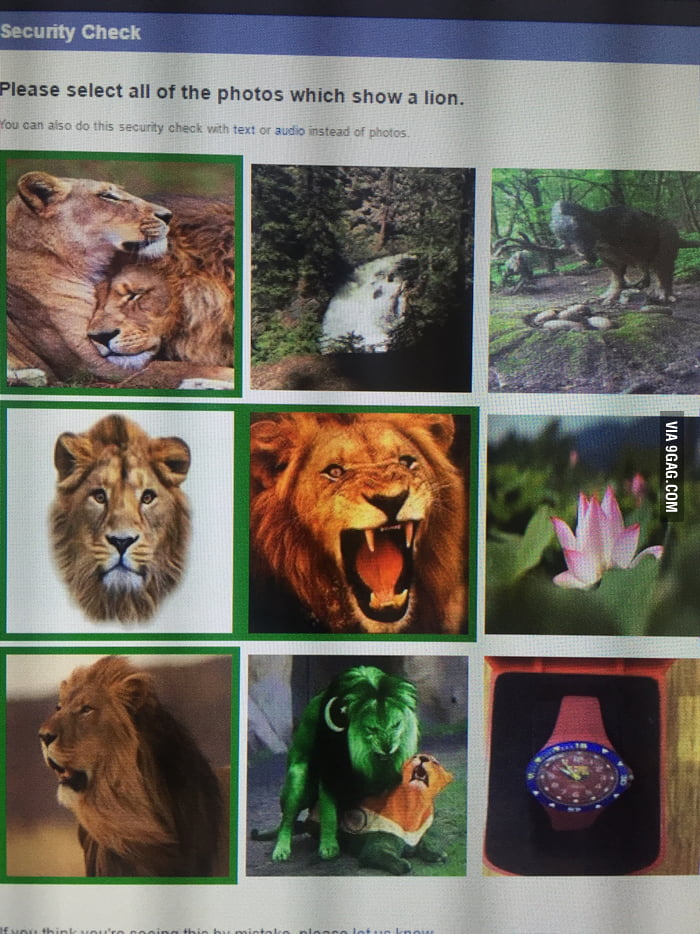 Photos of lions in facebook security check must be revised. Last one made me laught hard - 9GAG