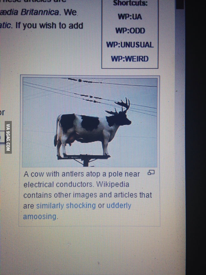 Clever Wikipedia, in Unusual Articles - 9GAG