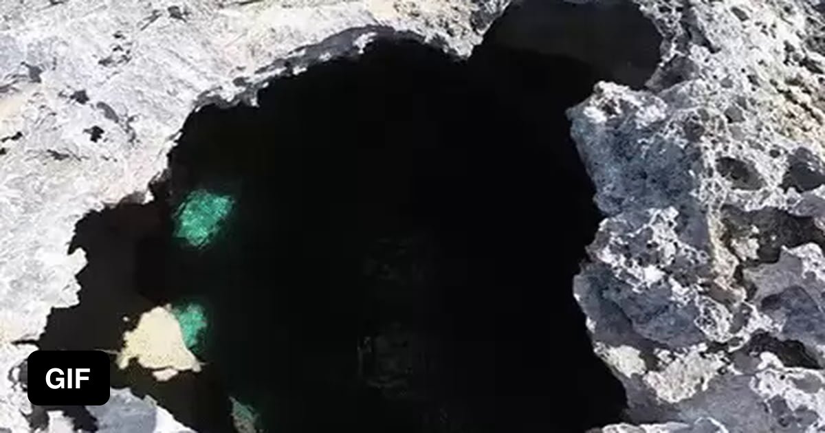 Holy... Sh*t! - 9GAG