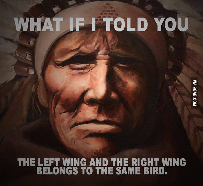What if I told you, the right wing and the left wing are the wings of the same bird - 9GAG