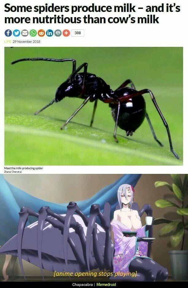 Rachnera milk - 9GAG