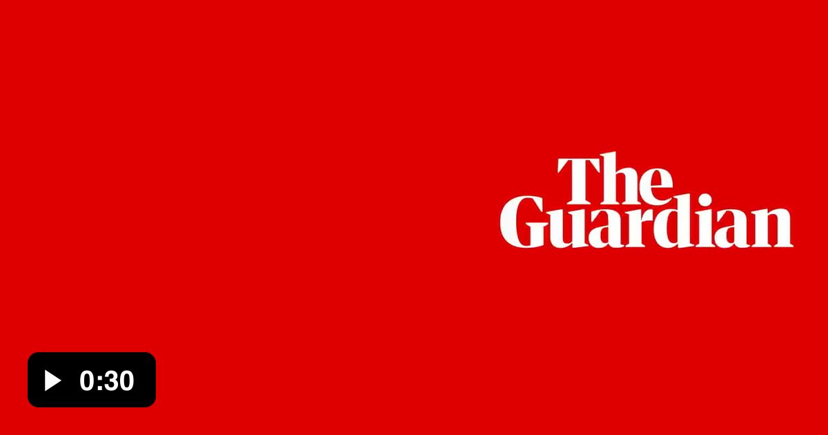 Volume warning.... if you think sea gulls are annoying, imagine living near one of these dudes ...