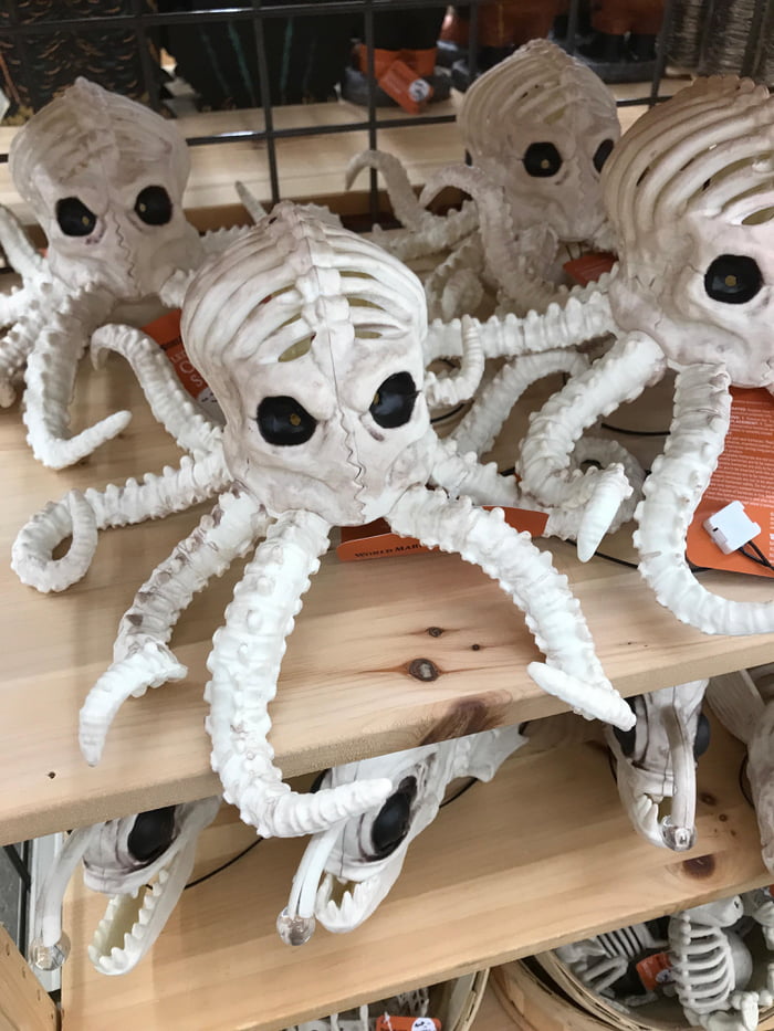 Octopus “skeleton” - 9GAG