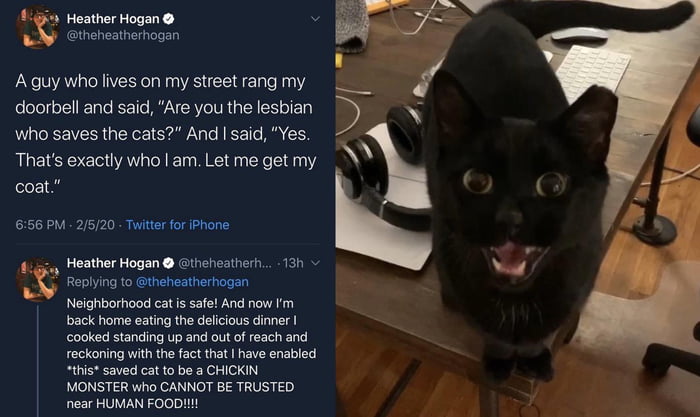 Are you the lesbian who saves the cats? - 9GAG