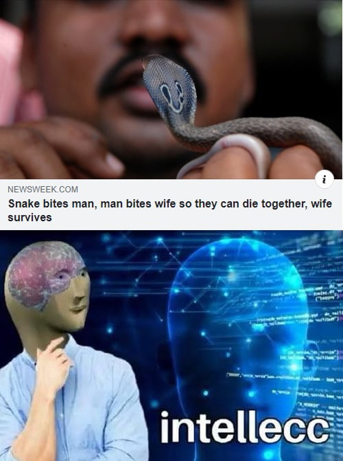 Many intellecc wow - 9GAG