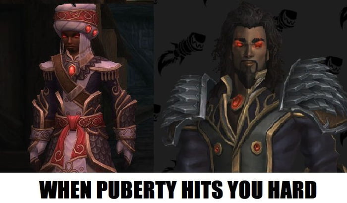 Sylvanas did nothing wrong - 9GAG